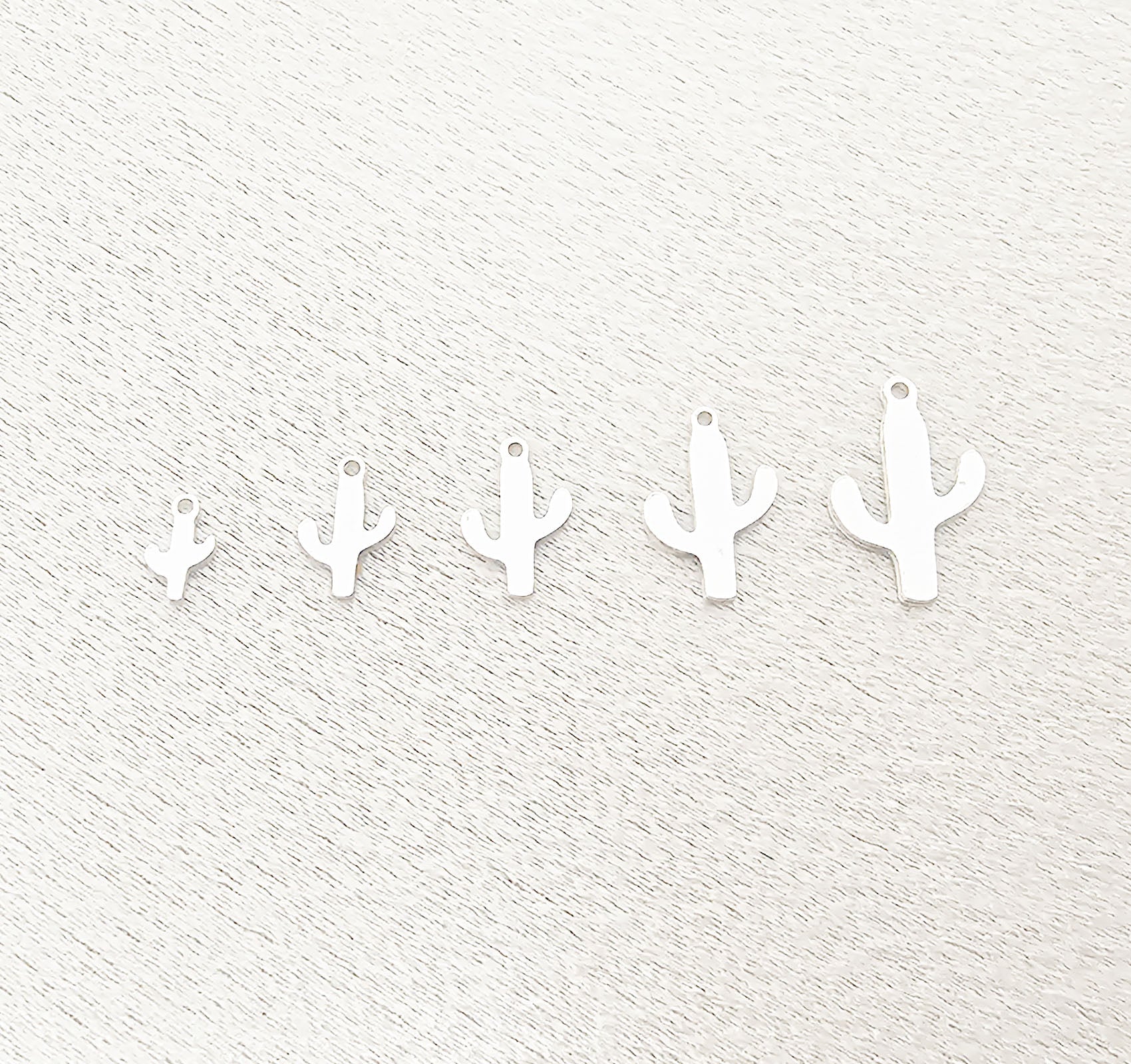 Cactus Charm – generation 1.5