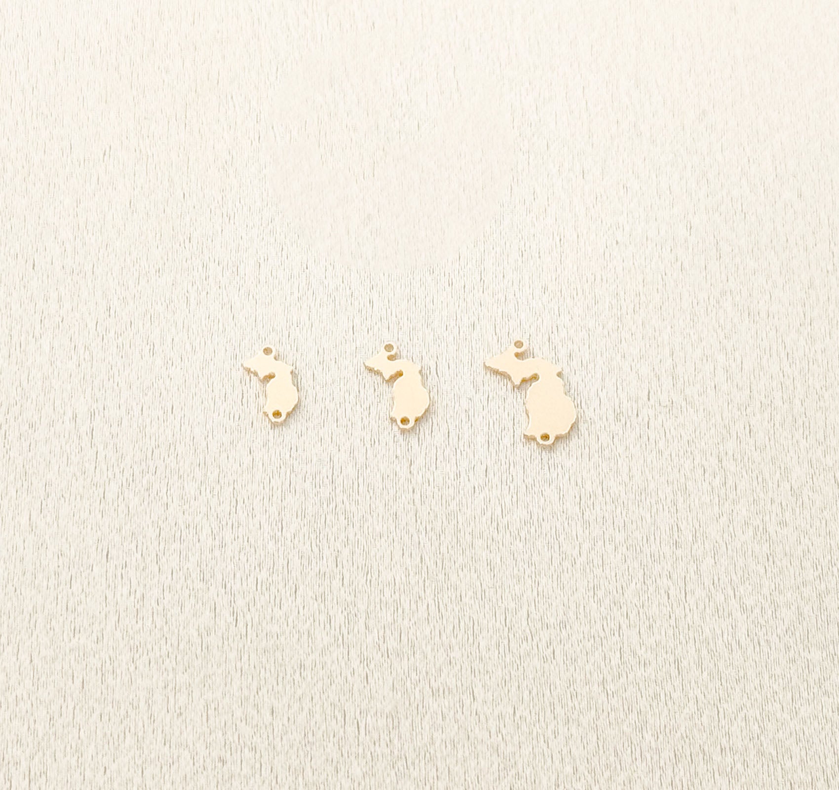 Michigan Connector – generation 1.5